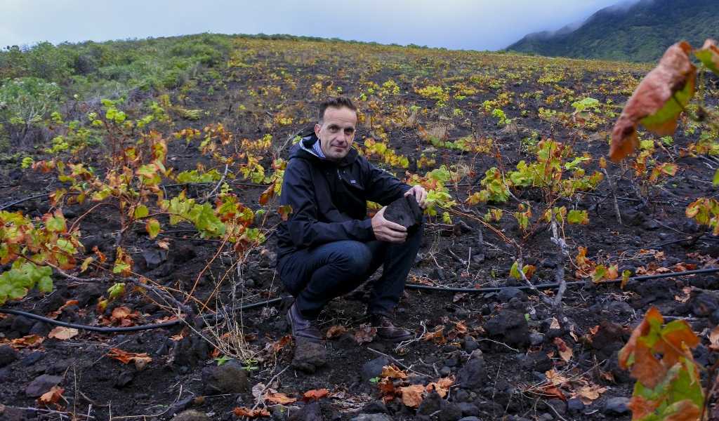 El Master of Wine David Forer destaca la identidad única de los vinos ...