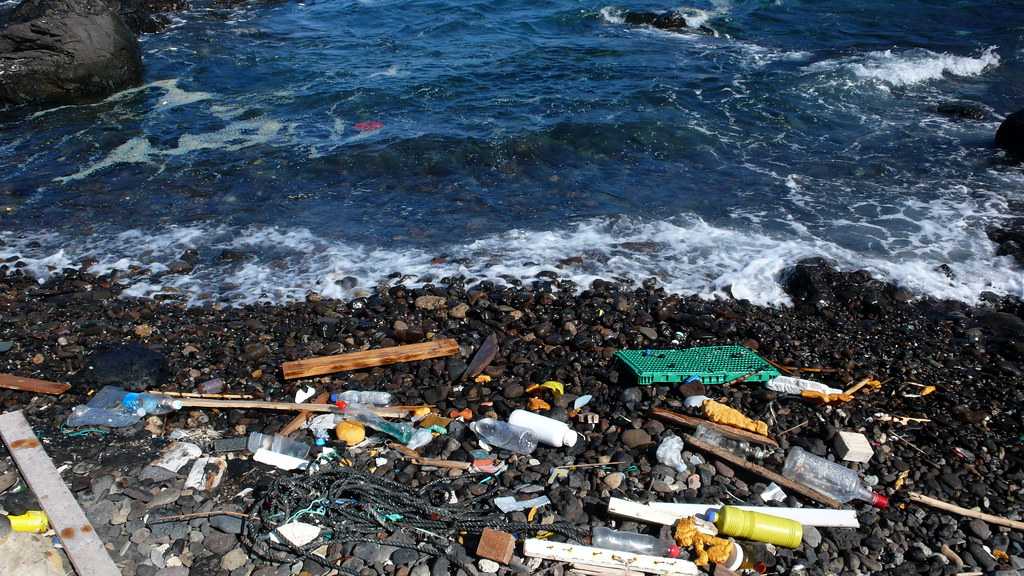 El 57% de las basuras encontradas en el mar son plásticos y el 27% colillas