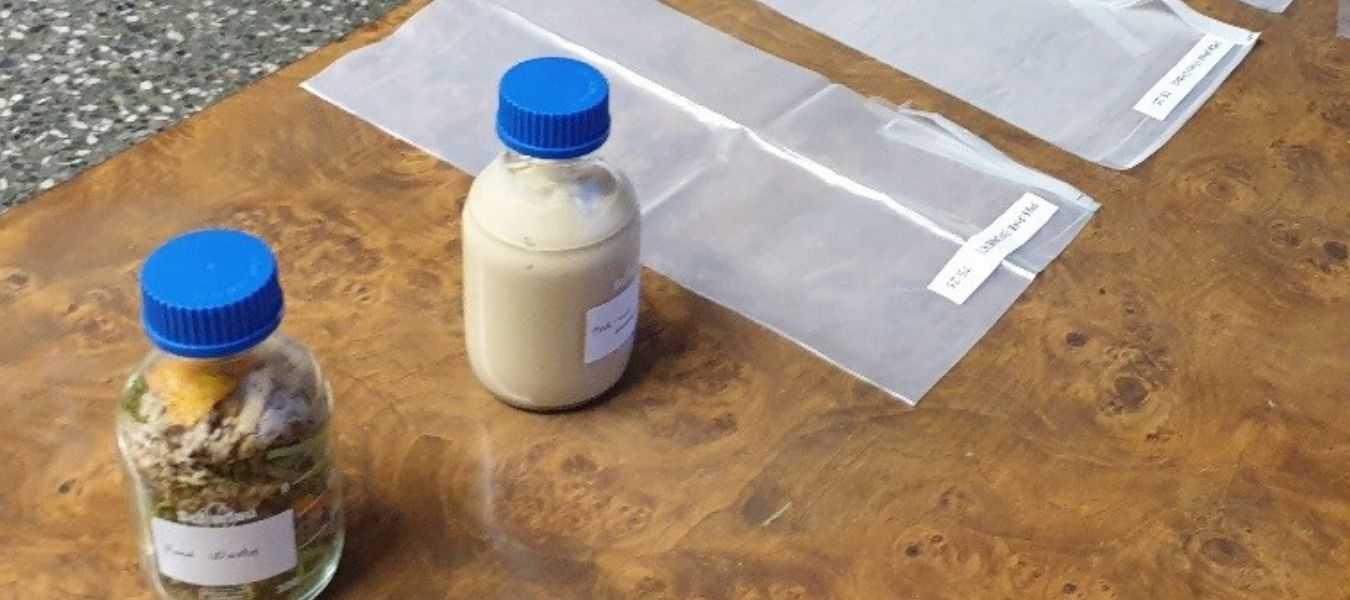 Elaboran bioplásticos a partir de residuos orgánicos urbanos