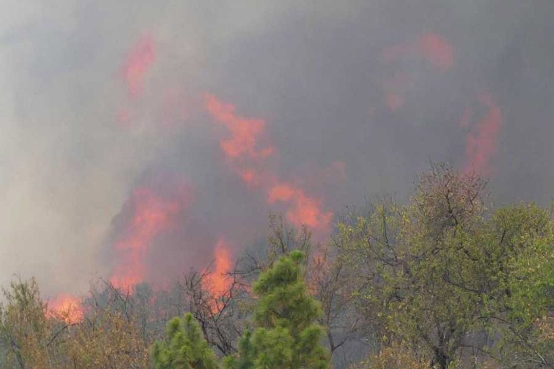 El fuego devora 400 hectáreas, aunque evoluciona favorablemente
