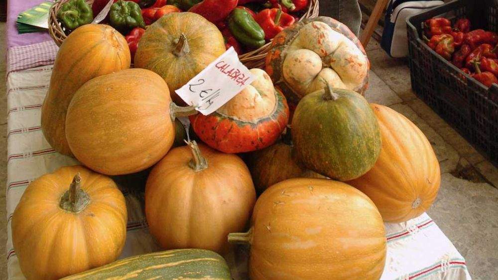 El auge de los productos ecológicos