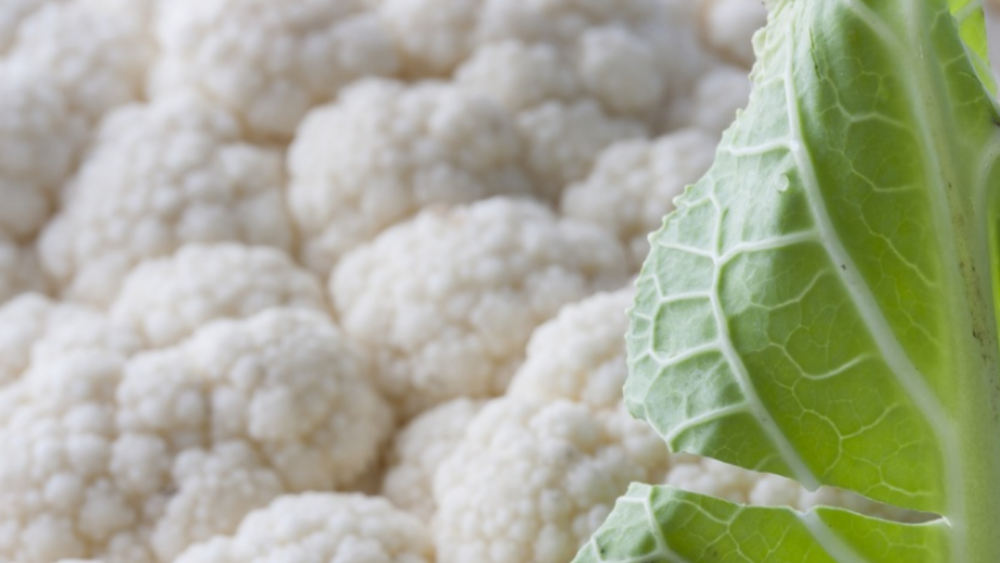 La coliflor mejora el sistema inmune entre otros beneficios