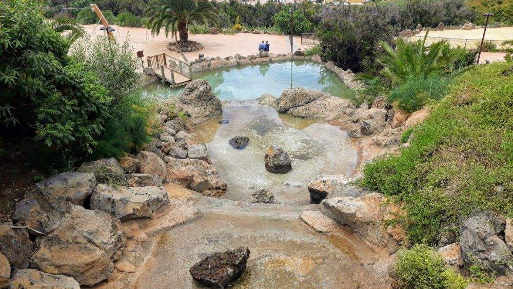 Parques infantiles de Tenerife donde pasar el día de Reyes con los más ...