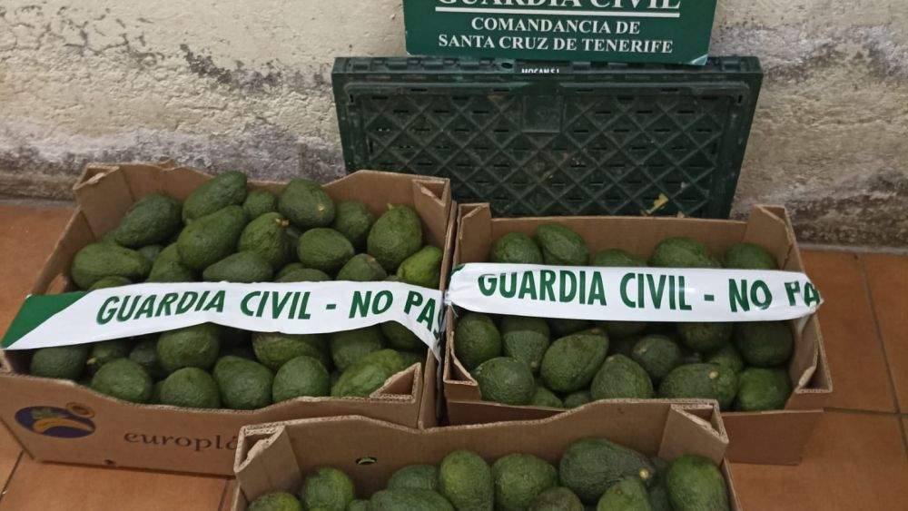 Investigadas ocho personas por sustraer y comercializar 700 kilogramos ...