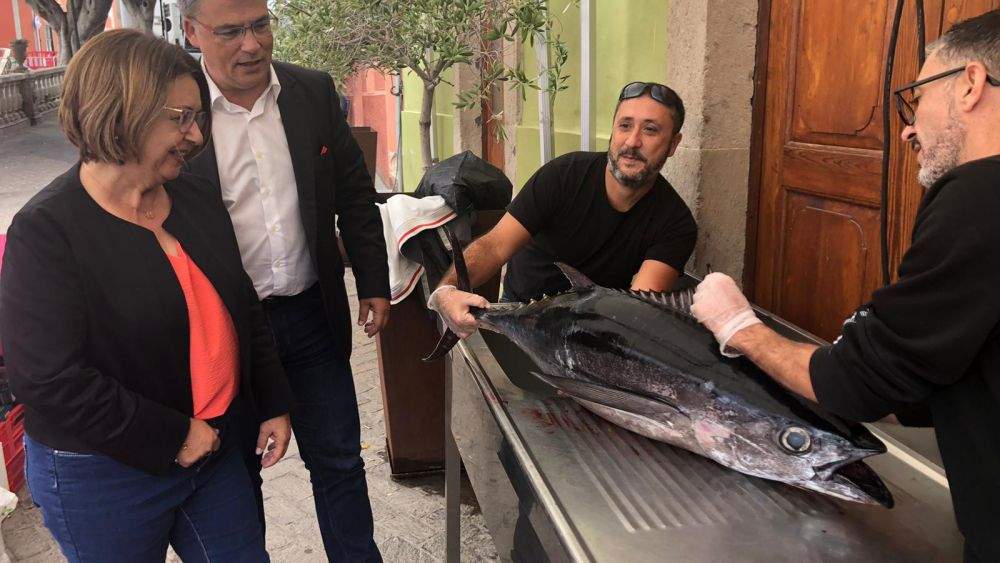 Tenerife ayuda a la actividad pesquera de túnidos con 400.000 euros ...