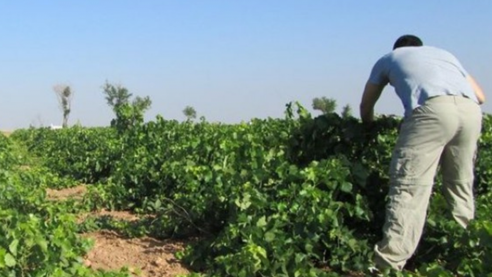 Satisfacción del sector primario con el avance de una Ley de Cadena que ...