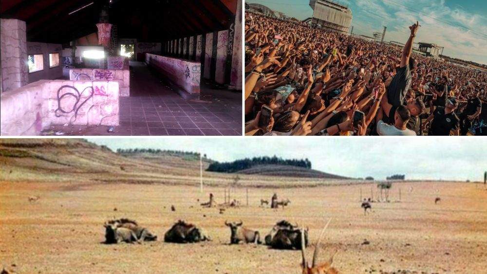 De un safari para niños al multiverso del perreo