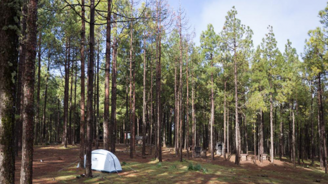 Mejores zonas de acampada de Canarias: de la playa a la naturaleza