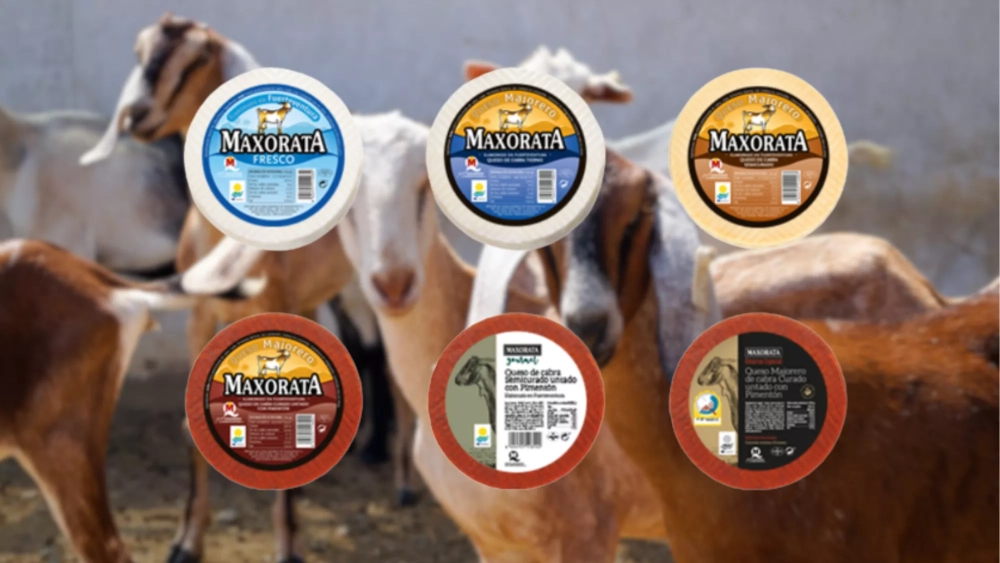 Maxorata, premiado como el mejor queso madurado de cabra de España