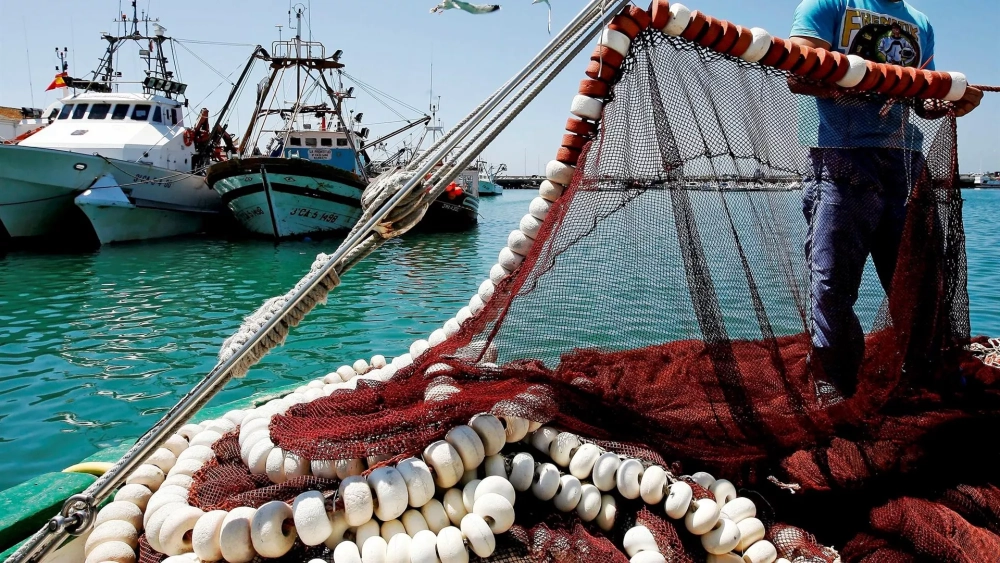 Las pequeñas embarcaciones podrán faenar en la campaña de pesca de ...