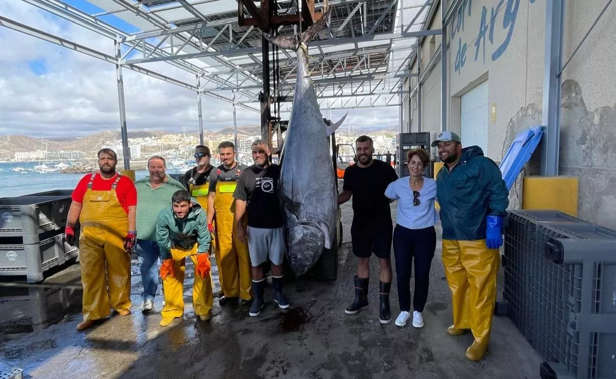 A 221-Kilo Tuna Takes Centre Stage at the Mogán Tuna and Sea Fair