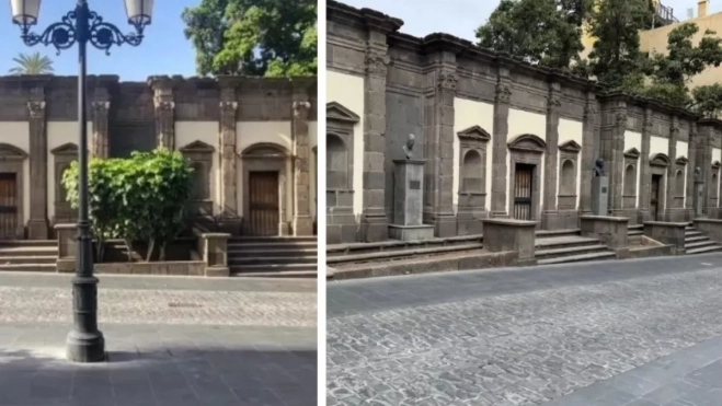 Misterio resuelto: el Obispado taló sin permiso unos arbustos en ...